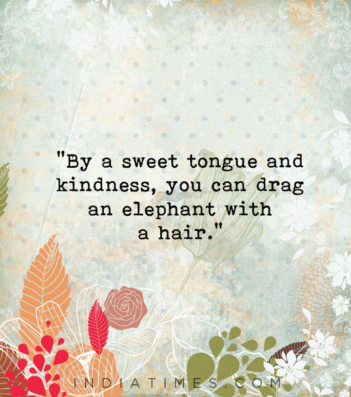 11 Persian Proverbs That Teach You How To Live Wisely