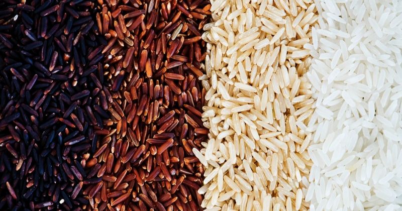 App On Your Phone Can Help You Verify Type And Authenticity Of Rice ...