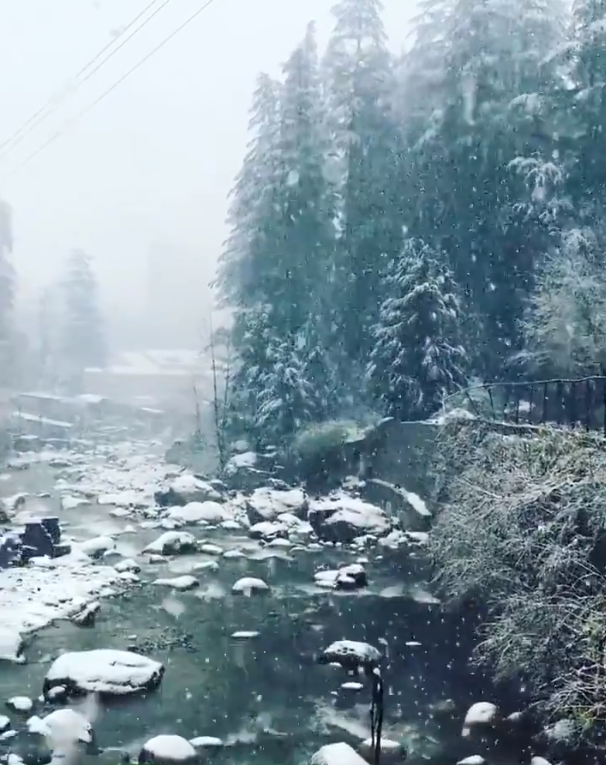 Shimla, Manali Is Wrapped In Snow & The Scenes Are Breathtaking
