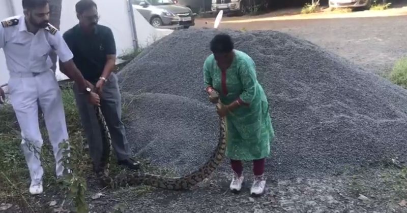 Kerala Navy Officer's Wife Rescues A 20 kg Python With Her Bare Hands