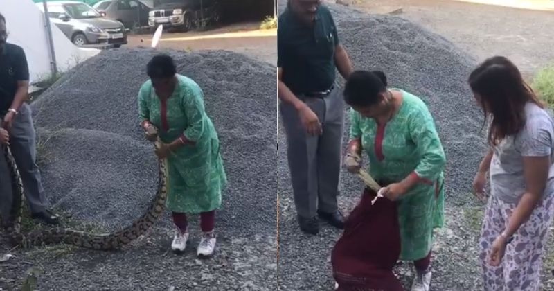Kerala Navy Officer's Wife Rescues A 20 kg Python With Her Bare Hands
