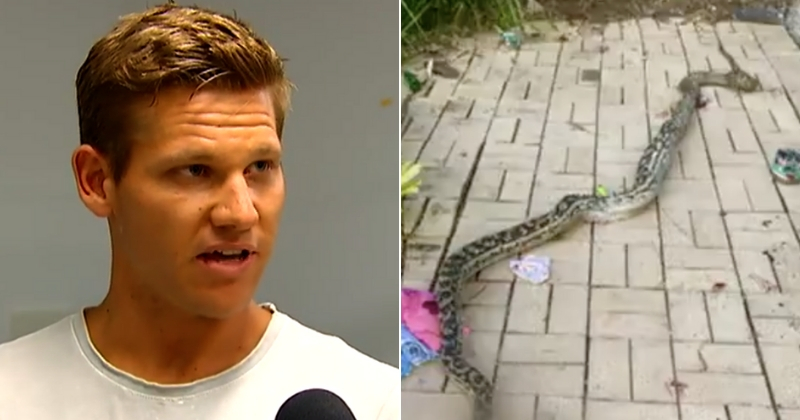 Father's Worst Nightmare: Snake Bites & Drags Four-Year-Old Son, Dad ...