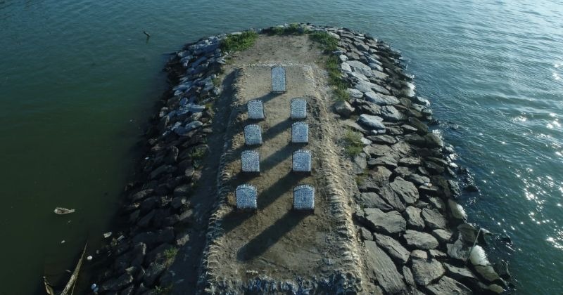 This Kerala Cemetery Is Dedicated To Marine Animals That Died Because ...