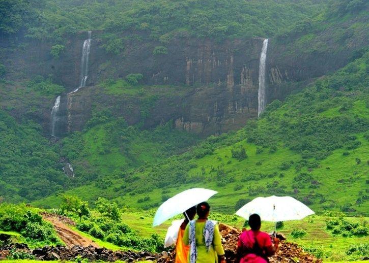 Best Of 2019: Here Are 10 Ways We Tried To Make The Environment Better