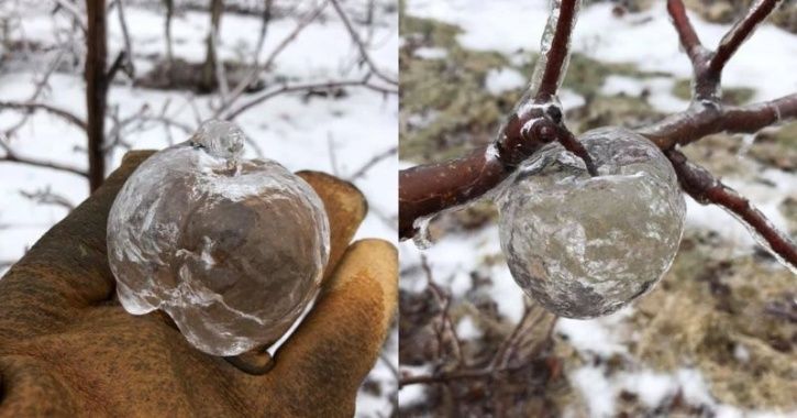 Ghost Apple:Thanks To Polar Vortex People Are Now Surrounded By ...