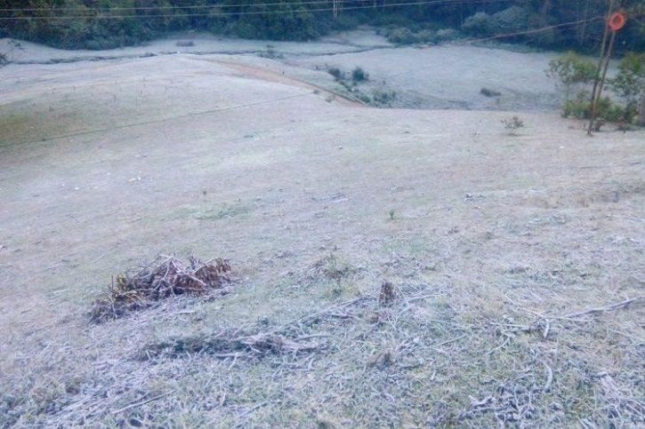 Munnar Snow:No, This Is Not Kashmir, This Is Munnar In Kerala At -3 Degrees