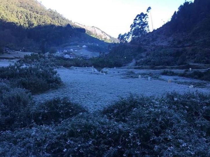 Munnar Snow:These 20 Images Of Munnar Will Make You Pack Your Bags And ...