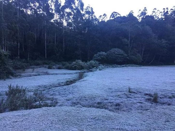 Munnar Snow:These 20 Images Of Munnar Will Make You Pack Your Bags And ...