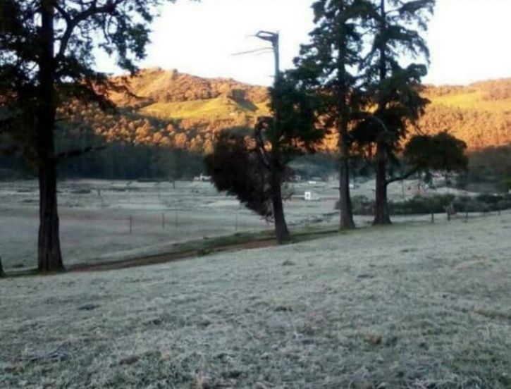 Munnar Snow:These 20 Images Of Munnar Will Make You Pack Your Bags And ...