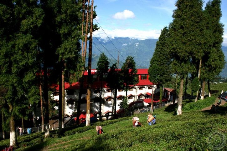 Do These 13 Things In Darjeeling To Truly Experience The Place & Not ...