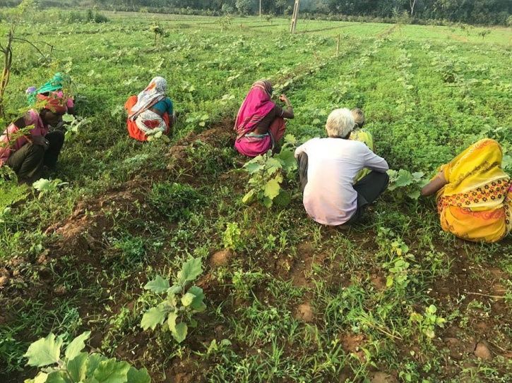 Organic Farming:Meet This Gujarati Couple Who Left Their Silicon Valley ...