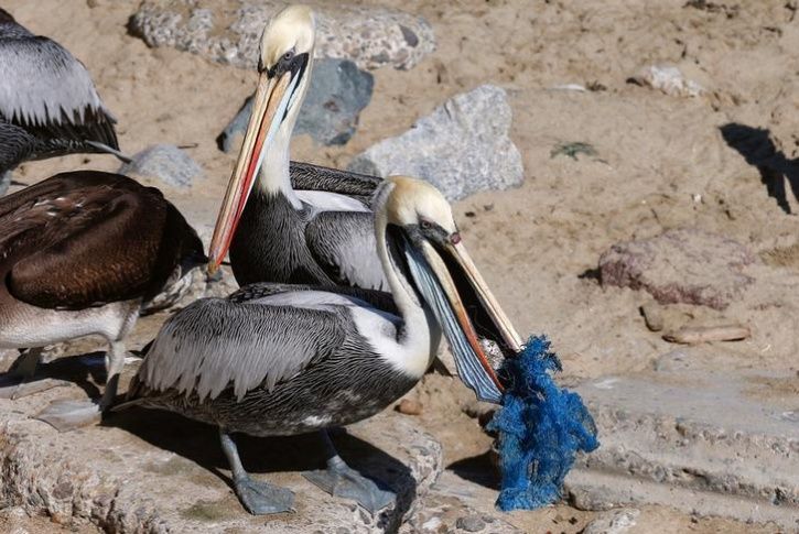 Plastic Waste:11 Heartbreaking Photos That Show How Plastic Waste Is ...