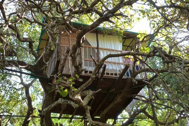 best tree houses in India:9 Beautiful Tree House Resorts In India That ...