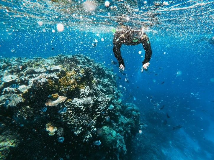 Underwater hotel Australia:A Luxurious Underwater Hotel Is All Set To ...