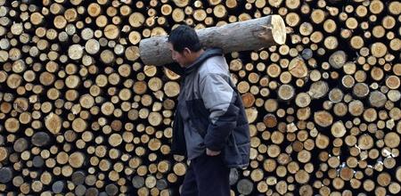 On World Forest Day, These 12 Powerful Images Show How Deforestation Is ...