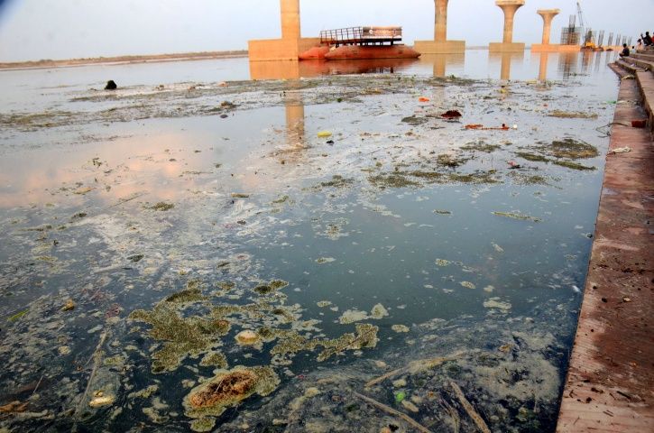 Fatal Bacteria Like E Coli, Found In Excreta, Has Contaminated Ganga To ...