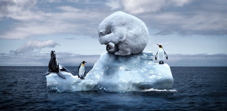 The Oldest And Most Stable Patch Of Ice In The Arctic Is Disappearing ...