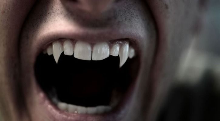 This Physicist Built A Calculator To Determine How Well We'd Survive A ...