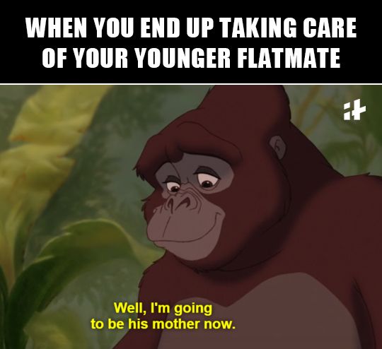 Funny Flatmate Memes