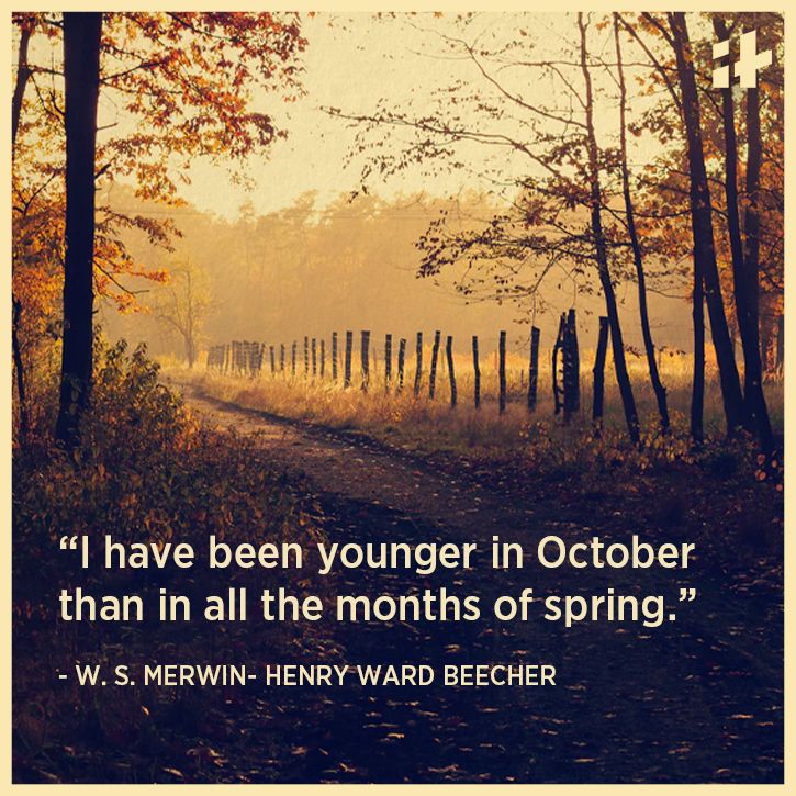 October Month Quotes 100+ Inspirational October Month Quotes To