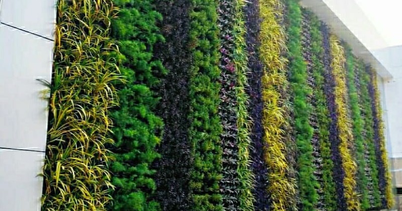 Here's How To Create Your Own Potted Plant Wall