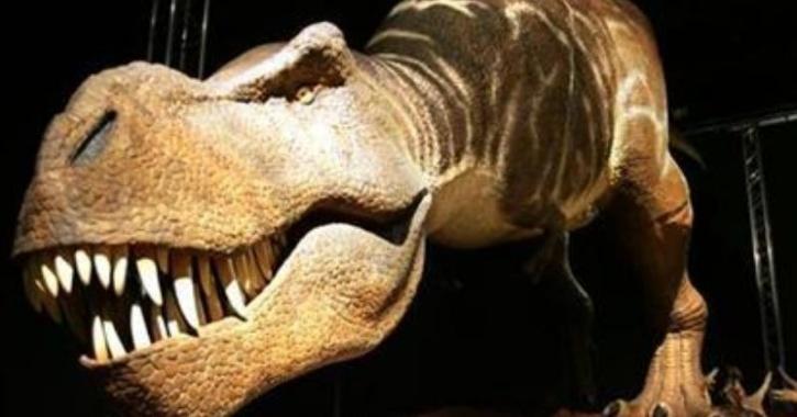 Dinosaur's 75-Million-Year-Old DNA May Have Been Found, And Why It's An ...