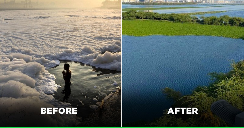 Videos And Images Of A Clean Yamuna River Are Going Viral And Leaving ...