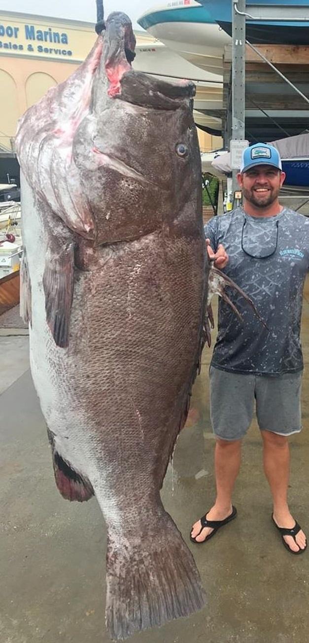Giant Opah Fish Caught In Philippines