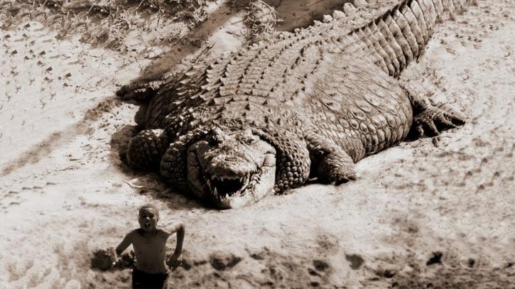 Deinosuchus, The Monstrous Breed Of Crocodiles Which Terrorised ...