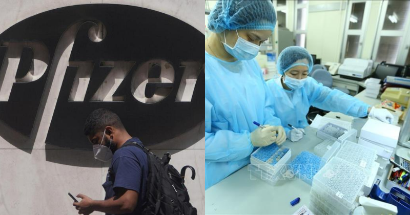 Pfizer's COVID-19 Vaccine Provokes Immune Response