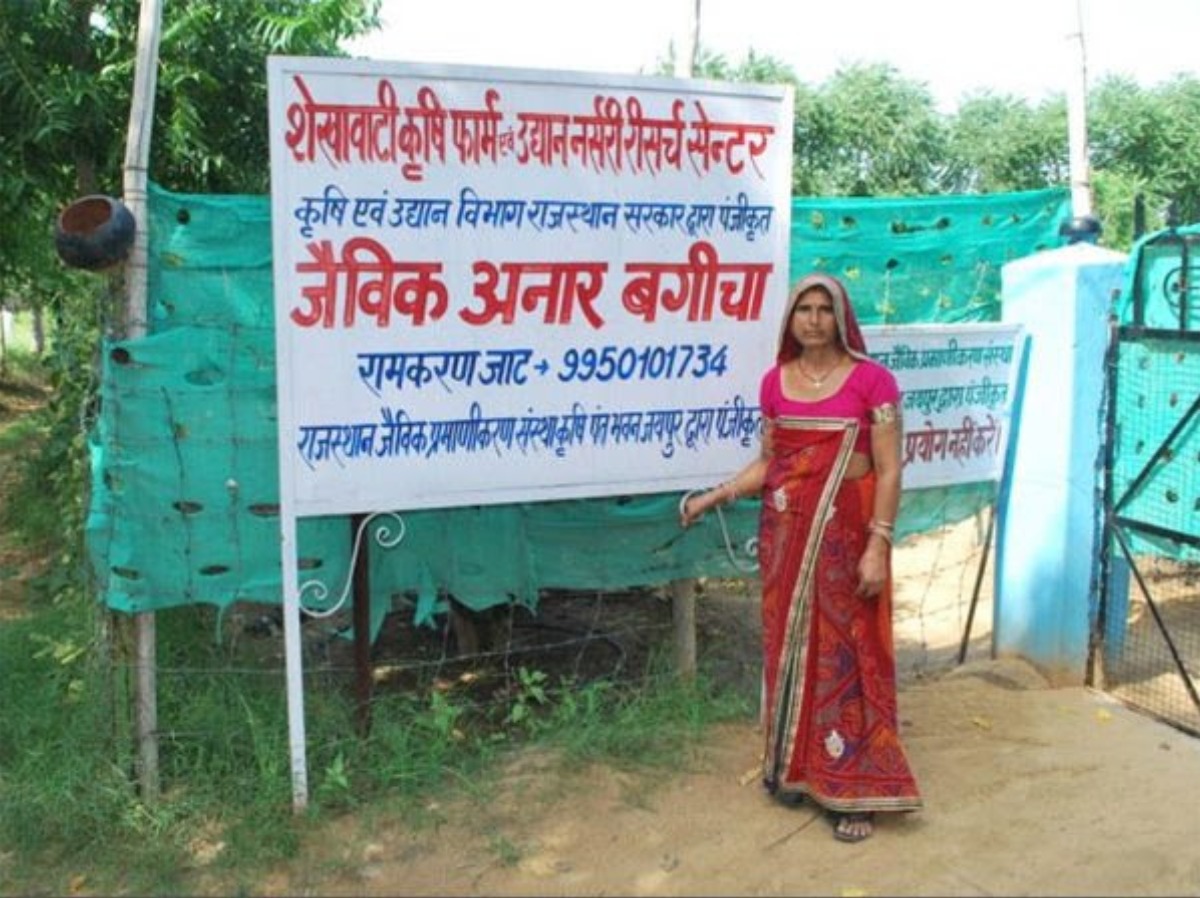 पति को होमगार्ड की नौकरी के दौरान आया आईडिया, खेती छोड़ बागवानी कर 20 ...