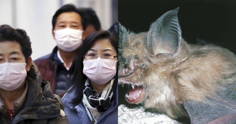 WHO Team Had 'Extensive Discussions' With Wuhan Scientists Over COVID's ...