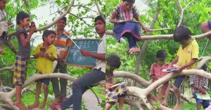 Teacher And Students Climb Trees For Network