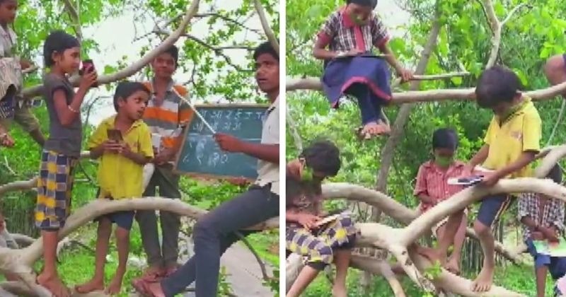 Teacher And Students Climb Trees For Network