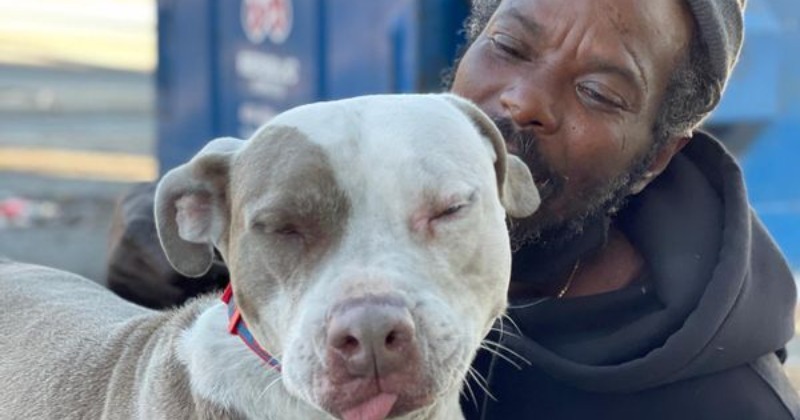 Homeless Man Proves To Be Saviour As He Saves Animals From Burning ...