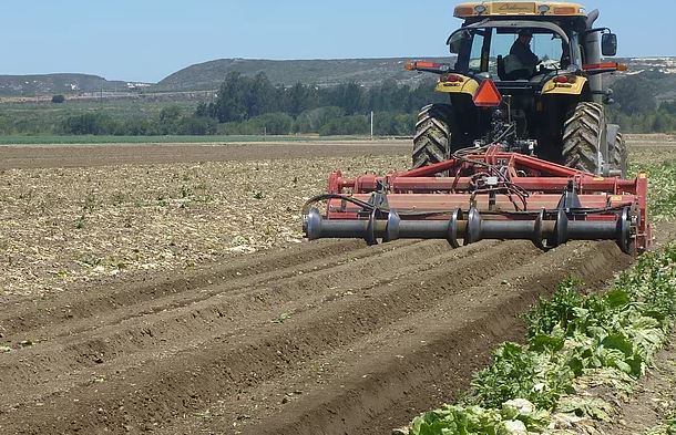 This Telangana Farmer Uses The 'Veda Farming' Technique That Produces ...