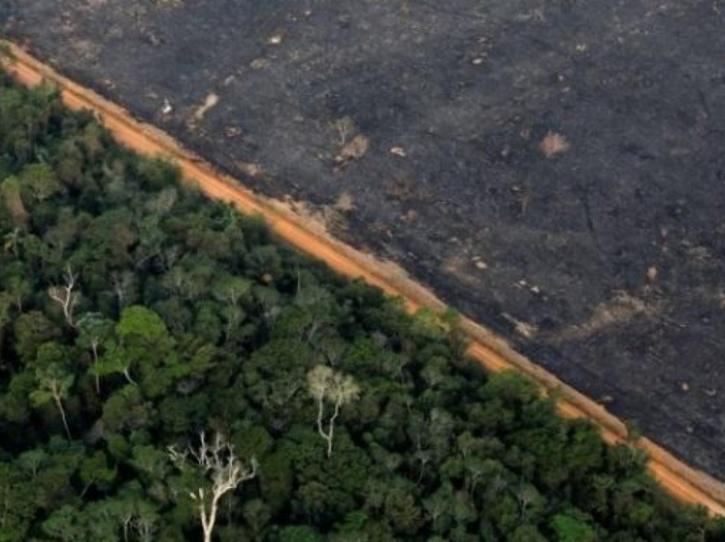 'It's As If We've Learned Nothing': Alarm Over Amazon Road Project