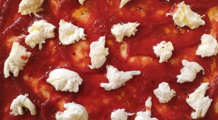 Scientists Make Lactose-Free Vegan Cheese From Proteins, Tastes Like ...