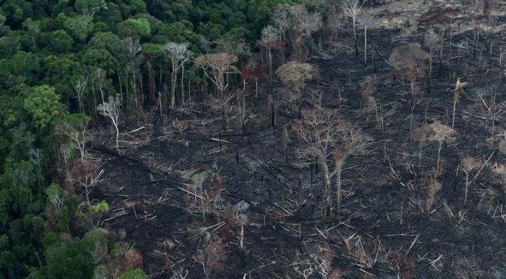 Amazon Rainforests Will Die By 2064, Due To Deforestation And Climate ...