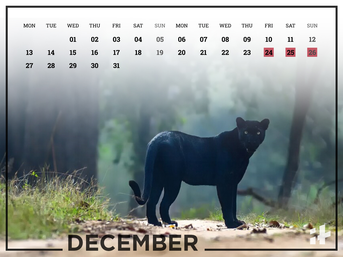 2021 Long Weekends List