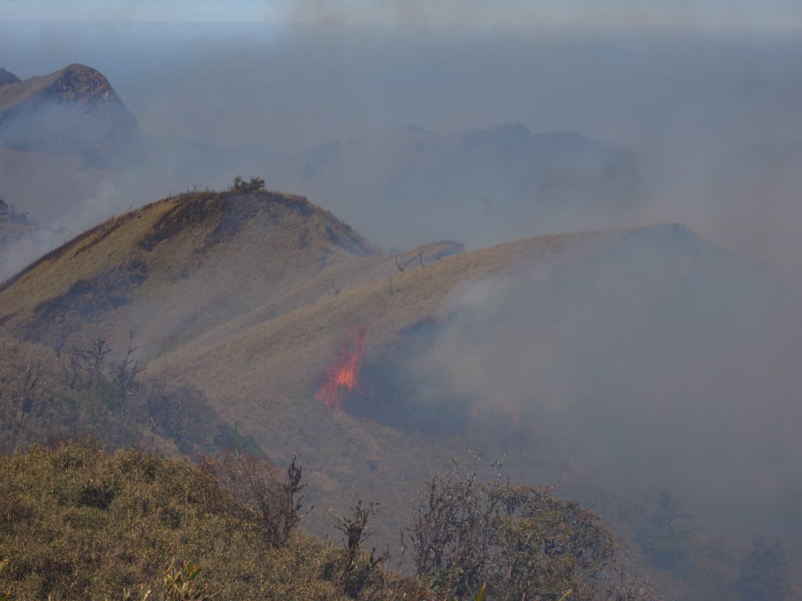 Massive Wildfire Breaks Out At Nagaland's Dzukou Valley, Concerns About ...
