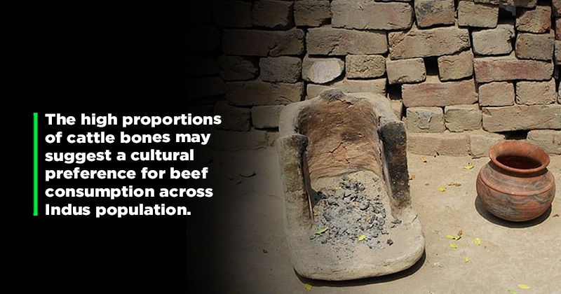 Indus Valley Civilization's Diet Dominated By Meat Including Pork ...