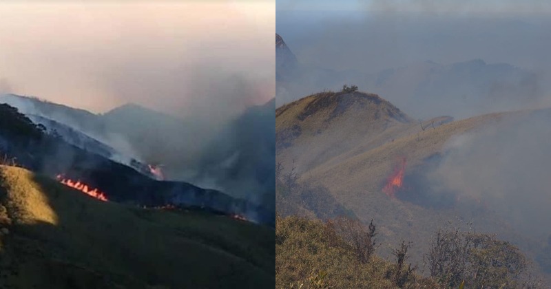 Massive Wildfire Breaks Out At Nagaland's Dzukou Valley, Concerns About ...