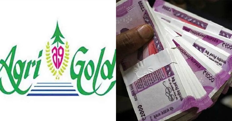 Everything You Need To Know About The Rs 6,000 Cr Agri Gold Scam That ...