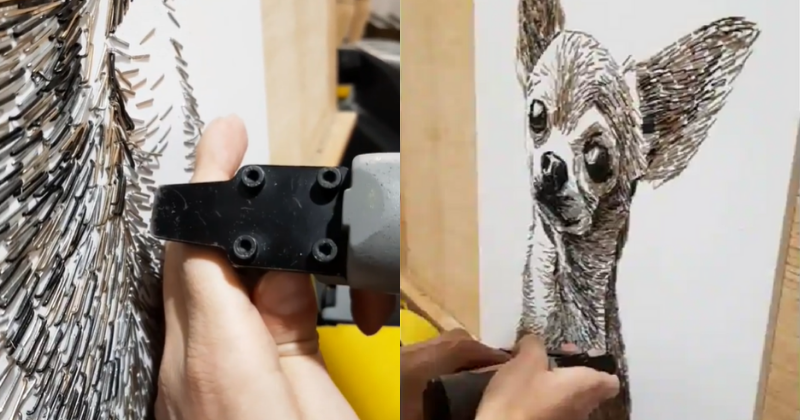 Artist Creates Dog's Portrait Using Only Staple Pins
