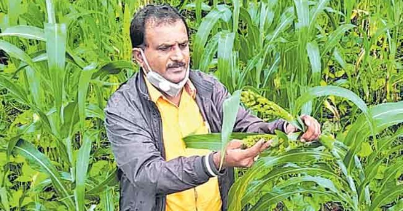 Millet Man वीर शेट्टी बिरादर: भूख का सामना कर समझी अन्न की कीमत