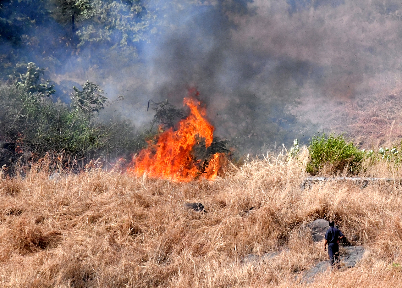 Death Of Three Forest Guards In Kerala Battling A Wildfire Shows How ...