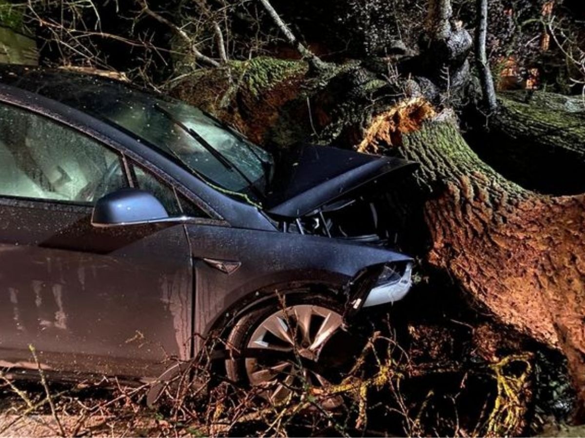 Tesla Amazingly Saves Family From Getting Crushed Under A 400-Year-Old ...