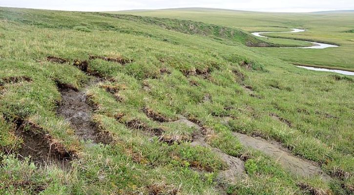 Climate Change Is Turning White Arctic Green And Why It's Not Good For Us