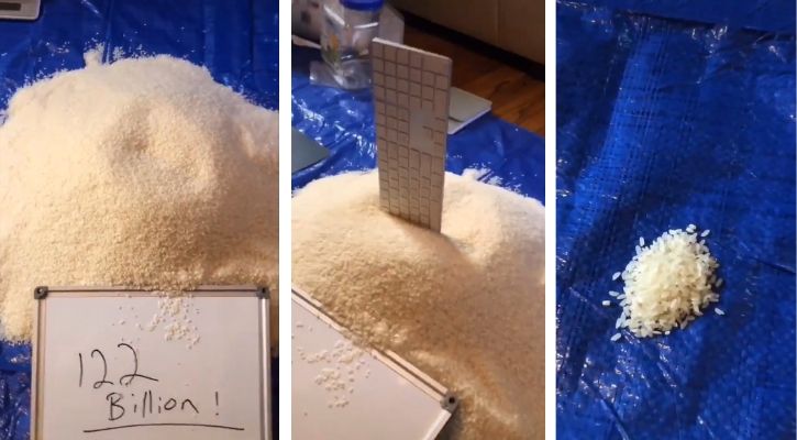 Guy Calculates Jeff Bezos' Wealth With 1 Rice Grain As 1 Lakh Dollar ...